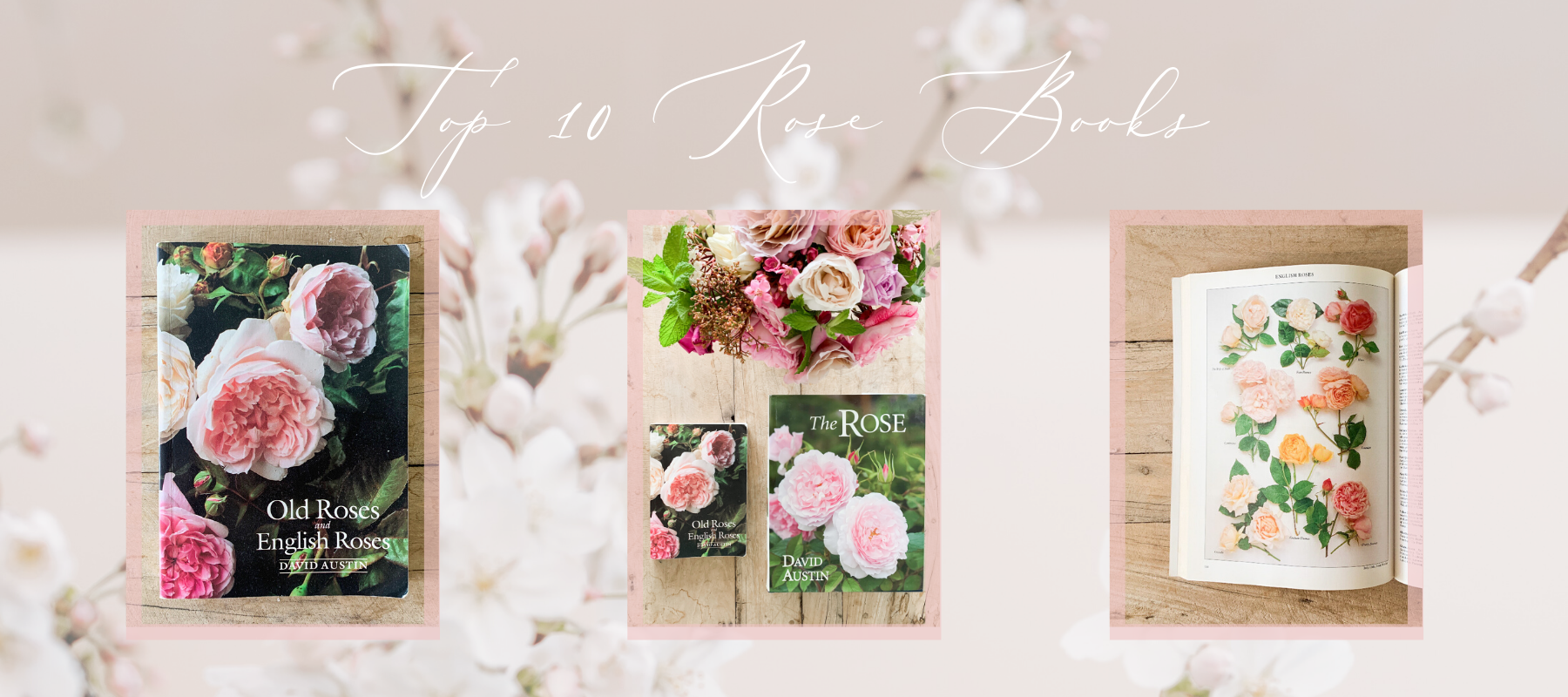 Top 10 Favorite Rose Books – Grace Rose Farm (Wholesale)